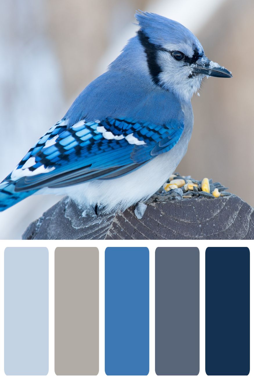 27 Blue Color Palette ideas With Photos - Trendsetter A List